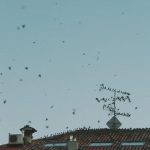 Knife Sharpening Angles: The Ultimate Chart (PDF)